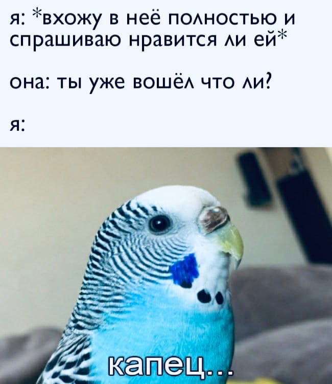 Пошлые картинки для мужчин