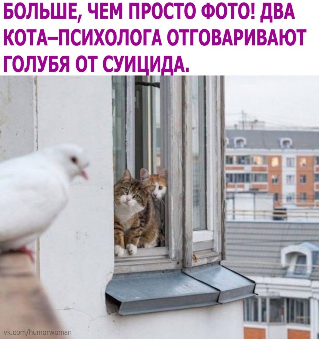 Прикольные позитивные картинки с надписями